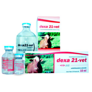 Dexa 21 vet – Veterinaria Online