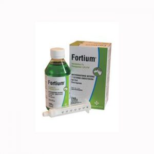 GASTRINE INJECTION – Veterinaria Online