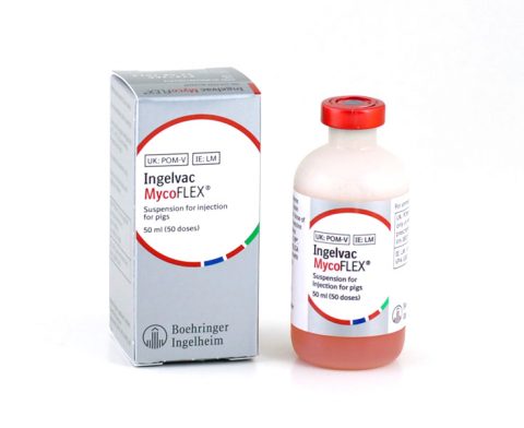 INGELVAC® MYCOFLEX – Veterinaria Online