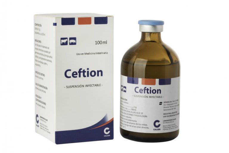 CEFTION – Veterinaria Online