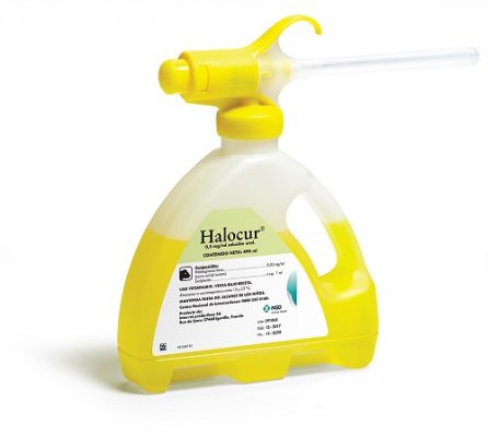 Halocur Solución Oral – Veterinaria Online