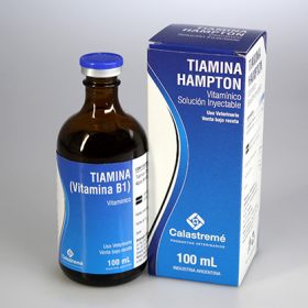 Tiamina (Vitamina B1) – Veterinaria Online