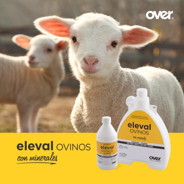 Eleval OVINOS – Veterinaria Online