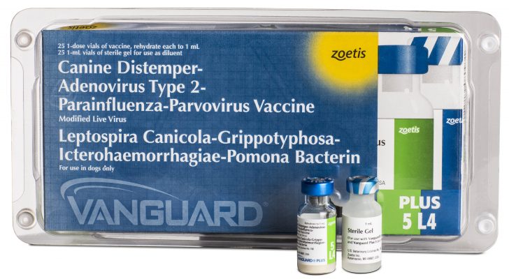 VANGUARD ® PLUS 5 L4 – Veterinaria Online